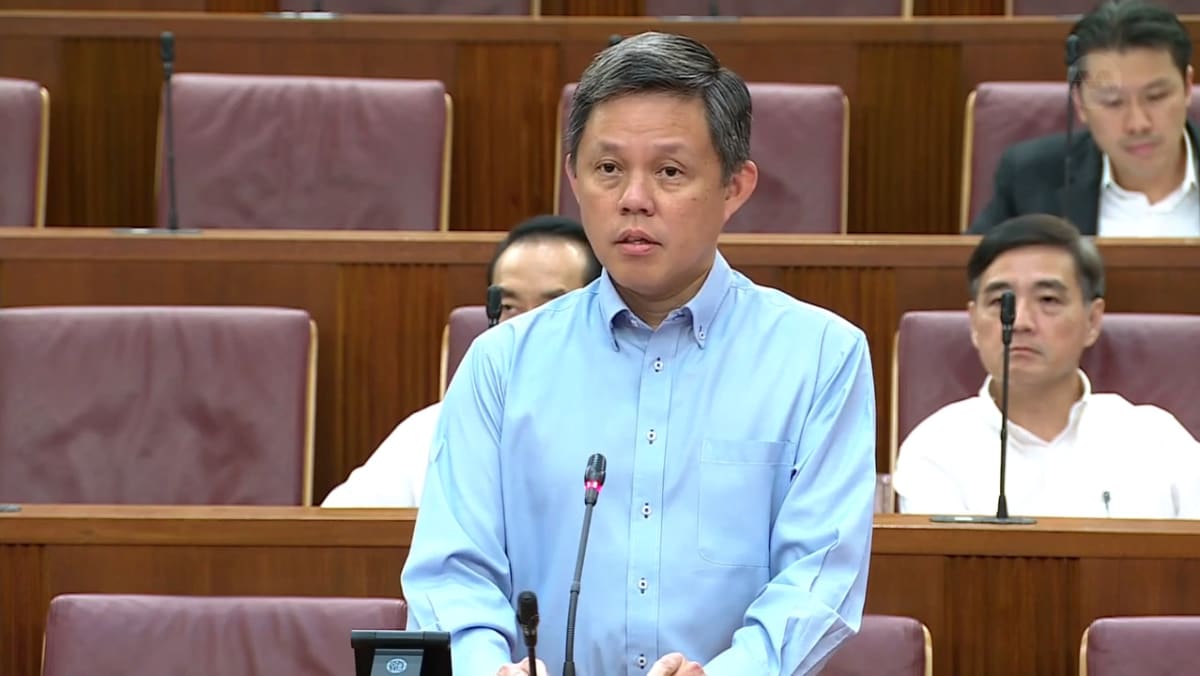 Chan Chun Sing on MOE review of DSA scheme - CNA