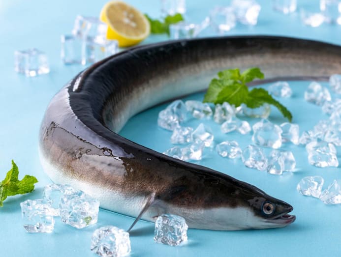 Live Eels Cooked In Natural Spring Water Or Pan-Fried Till Golden At ...