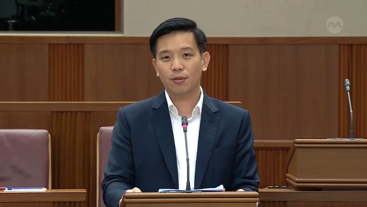 Committee of Supply 2024 debate, Day 7: Alvin Tan on partnering ...