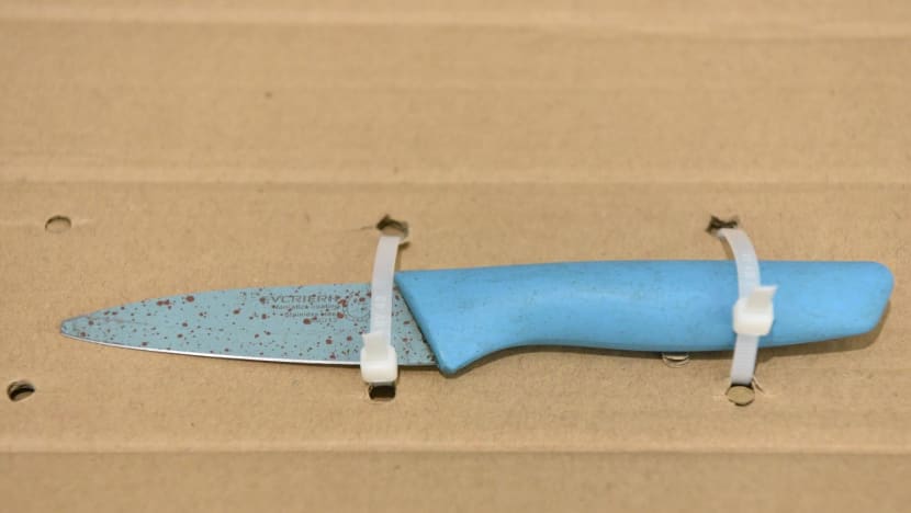 Man who held woman at knifepoint along Yishun Ring Road was known to ...