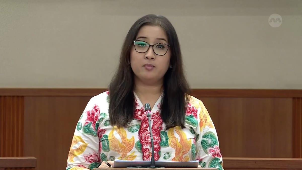 Committee of Supply 2025 Debate, Day 3: Nadia Ahmad Samdin on coastal ...