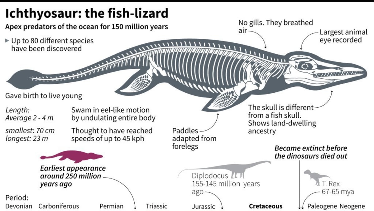 ichthyosaurs extinct