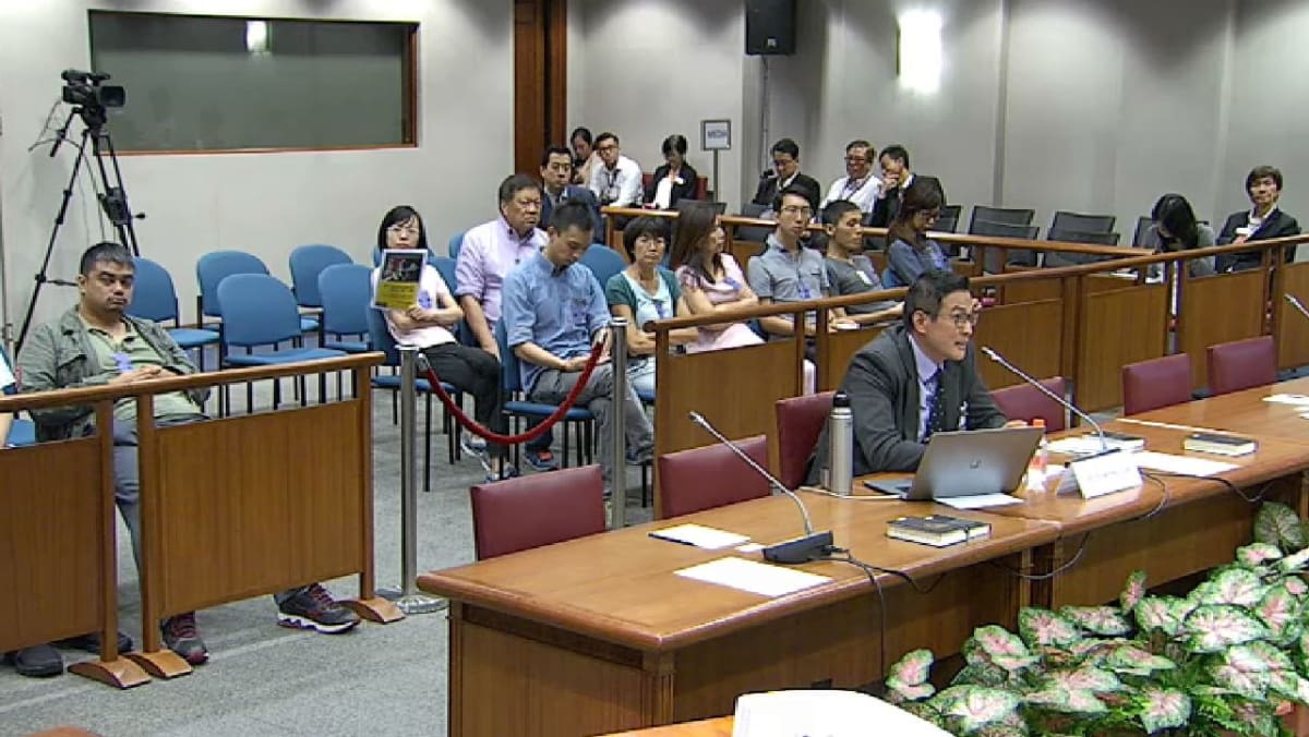 Han Hui Hui forcibly removed from Select Committee hearing after ...