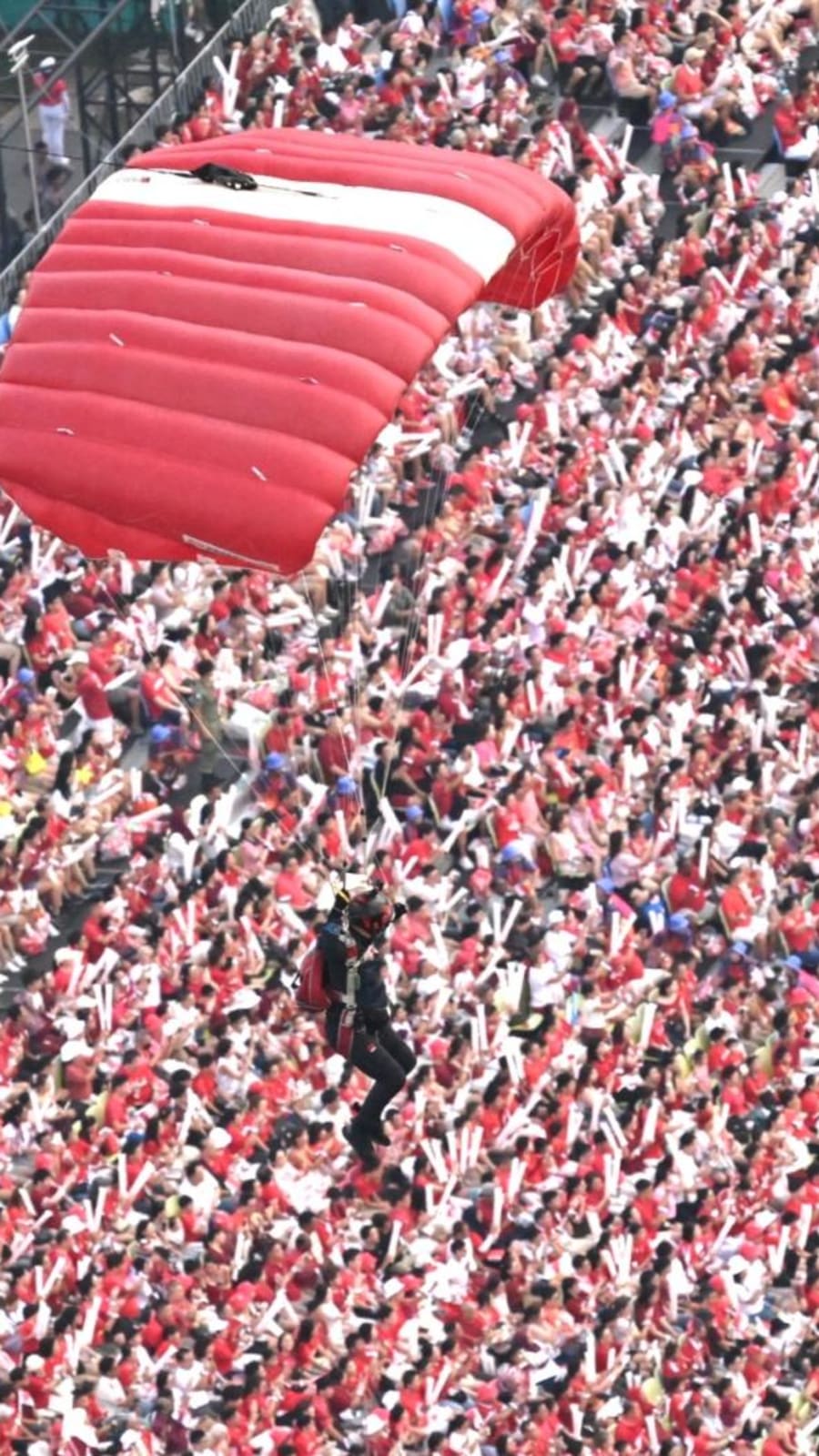 Singapore's naval divers and Red Lions at NDP 2025 - CNA