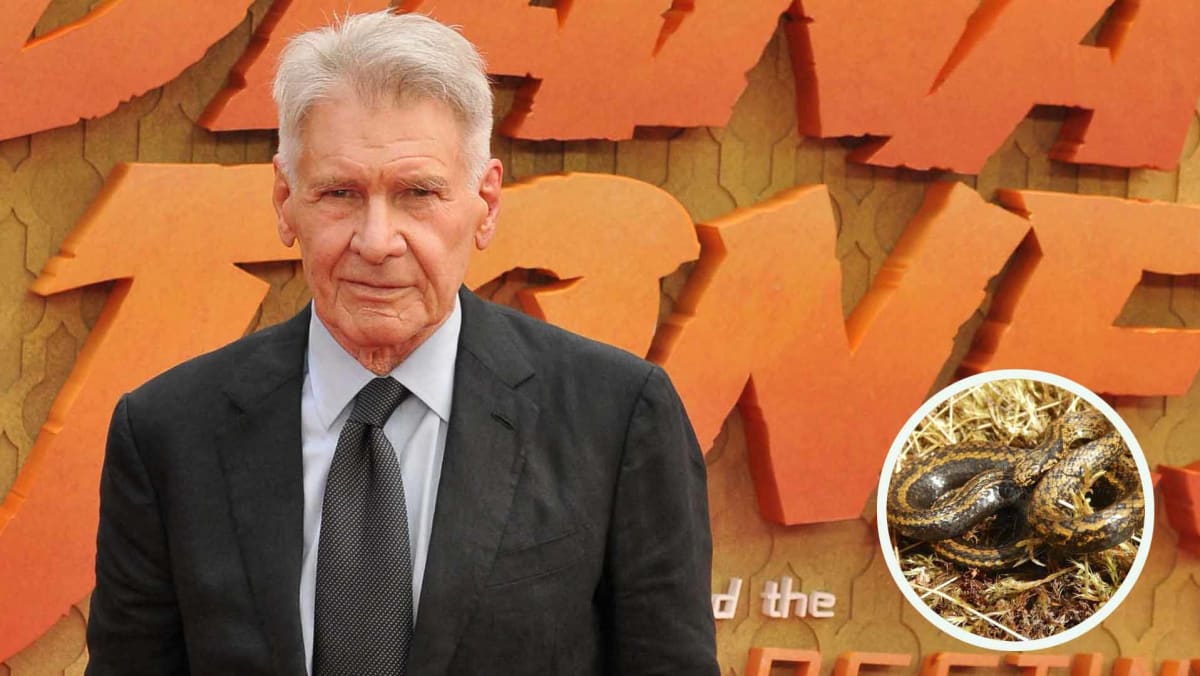 Harrison Ford Inspires Name Of New Snake Species Found In Peru's Andes ...