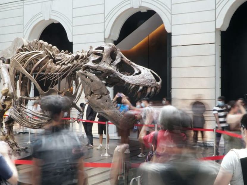 T-Rex skeleton draws crowds in Singapore before auction - TODAY