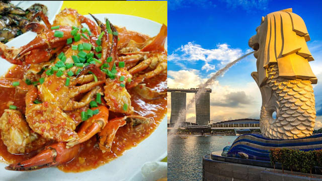 Taste Atlas全球百大美食榜单，新加坡暂居第90名 - vibes by 8world