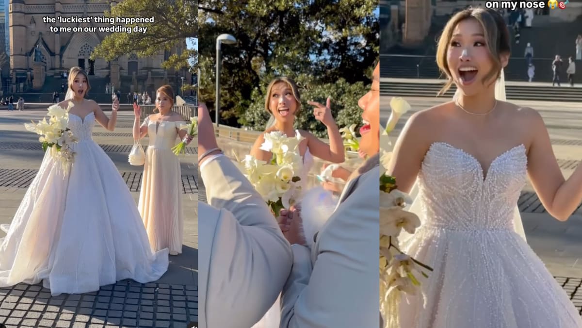 Lucky Or Unlucky? Bird Poop Lands Right On Bride’s Nose On Her Wedding ...