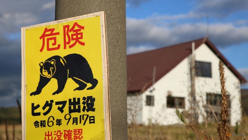 Bear goes on rampage in Japan, injuring four people - CNA