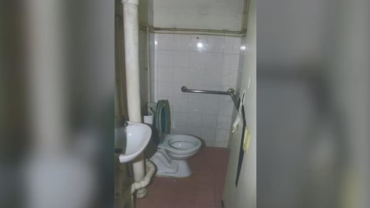 Ibu tiri dalam kes kanak-kanak maut didera didakwa menganiaya budak perempuan 5 tahun dan ...