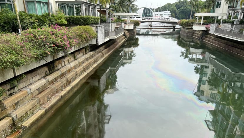 Oil spill reaches Sentosa, East Coast Park and other areas; some ...
