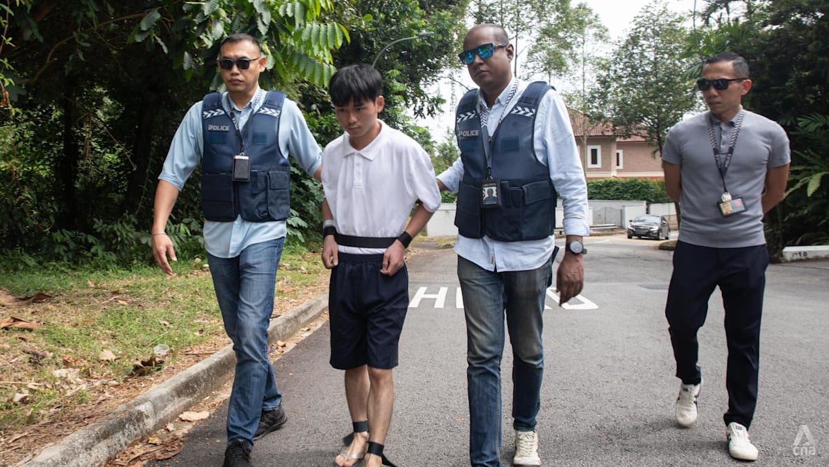 Jail for man who flew to Singapore for one day to pick up housebreaking ...