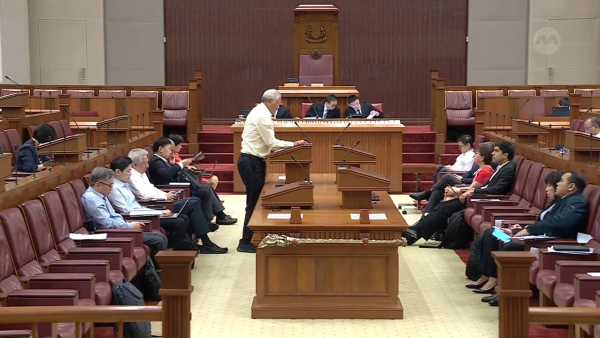 Committee of Supply 2025 debate, Day 2: Ng Eng Hen and Heng Chee How ...