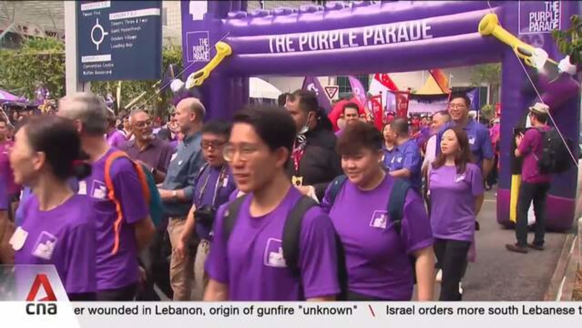 Record 15,000 visitors show up for Purple Parade - CNA