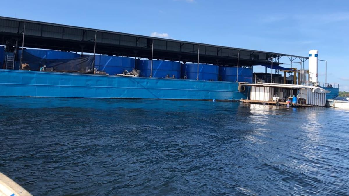 சிங்கப்பூரிலேயே வளர்க்கப்படும் மீன்கள்.. இனி அதிகமாகும்! - Seithi Mediacorp