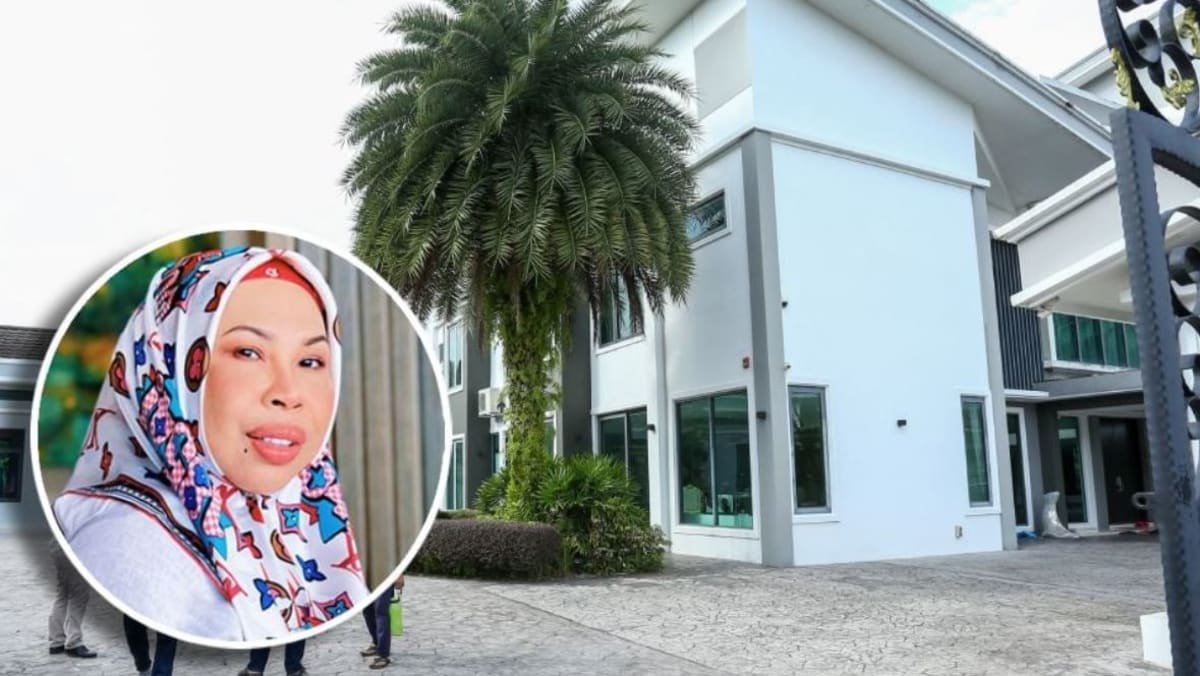 Kediaman, 4 kenderaan Datuk Vida disita kerana gagal langsai hutang ...