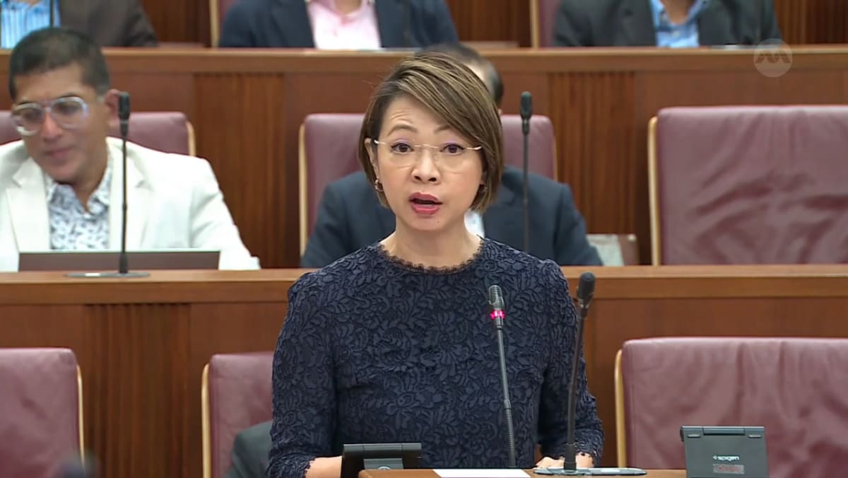 Foo Mee Har on Anti-Money Laundering and Other Matters Bill - CNA