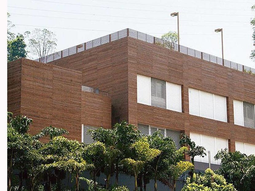 Lin Ching Hsia Posts Photos Of Cranes In The Backyard Of Her S$690mil ...