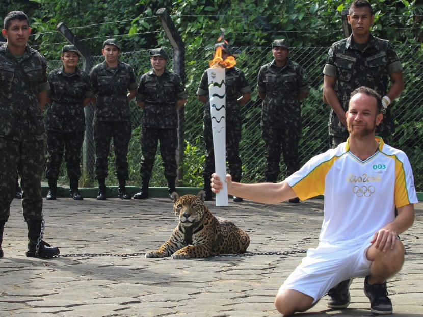 Jaguar used in Olympic torch event killed in Brazil - TODAY