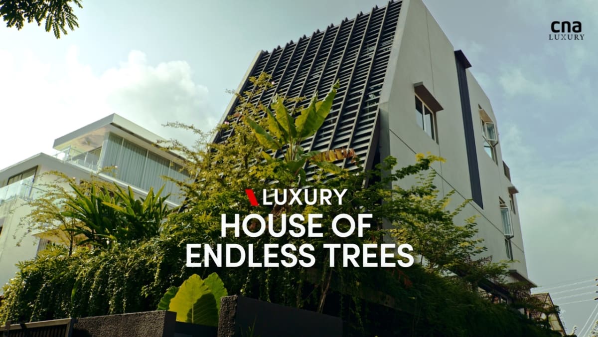 House of Endless Trees: A home filled surrounded by nature, and filled ...
