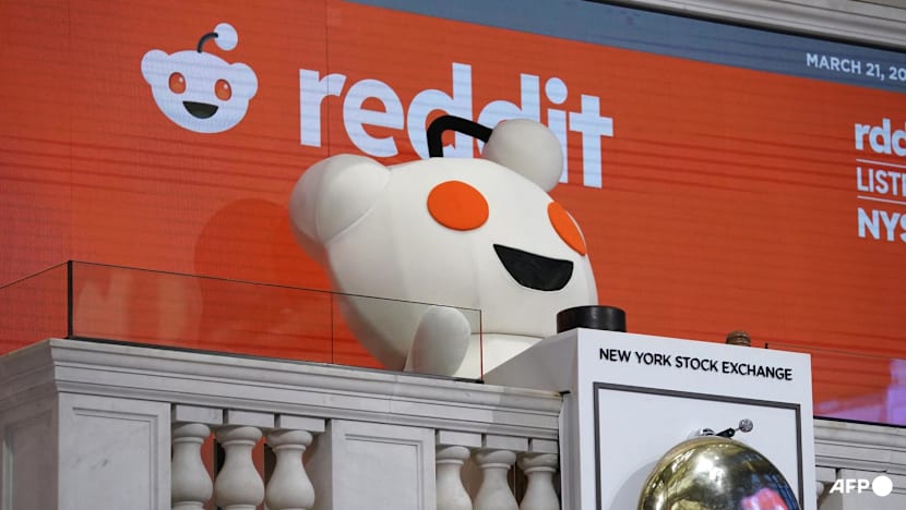 Reddit says Australia's under-16 social media ban 'legally erroneous' - CNA
