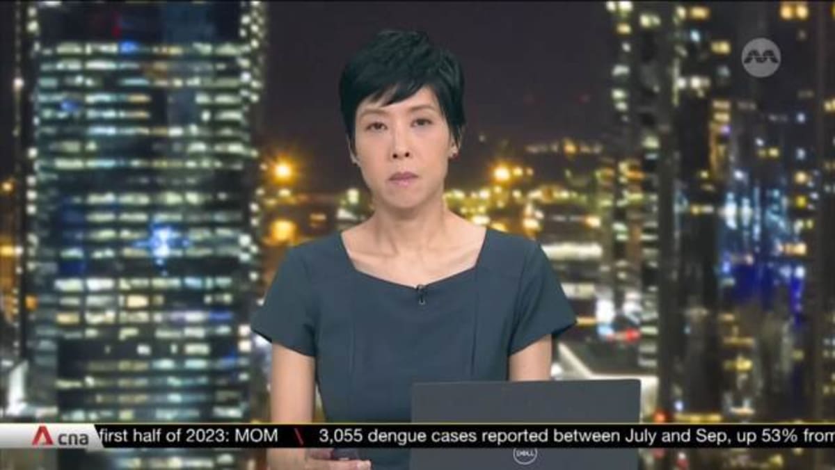 Singapore's Semakau Landfill more than half-full | Video - CNA