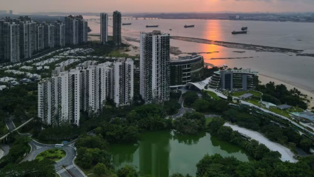 Forest City mahu jadi pemain utama, sedia hab pengangkutan bagi SFZ dan ...