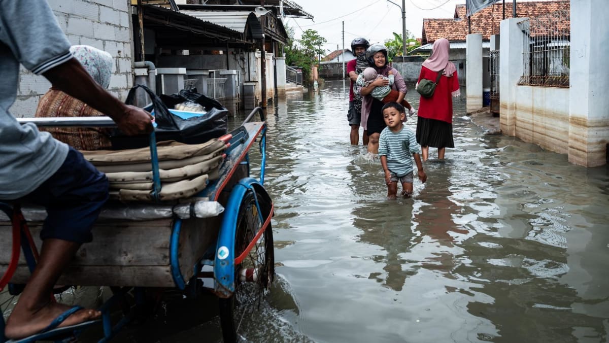 Saving Java's coastal communities | Video - CNA