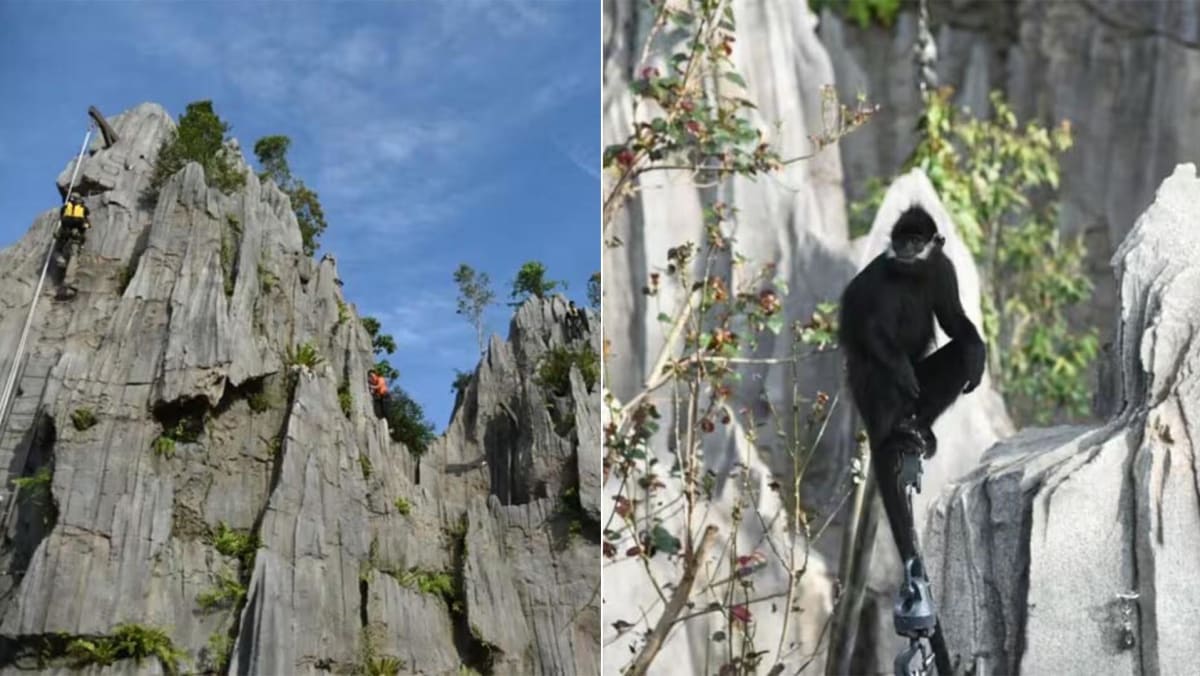 What To Expect When Rainforest Wild Asia Opens Mar 12; Ticket Prices ...