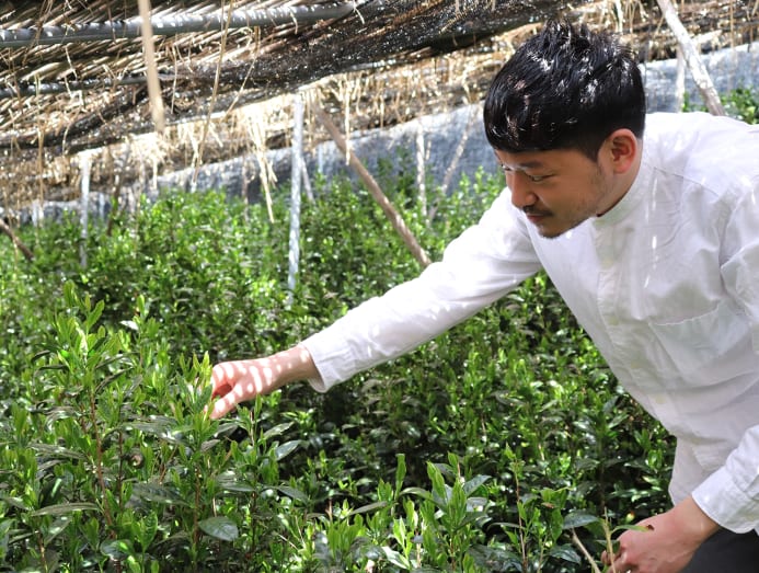 Meet Tadayuki Sudo, founder of matcha specialty teashop Yugen in Kyoto - CNA Luxury