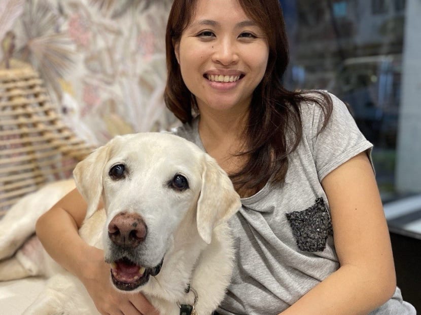 The Gentle Vet: Dr Kelly Yeo helps geriatric pets on their final ...