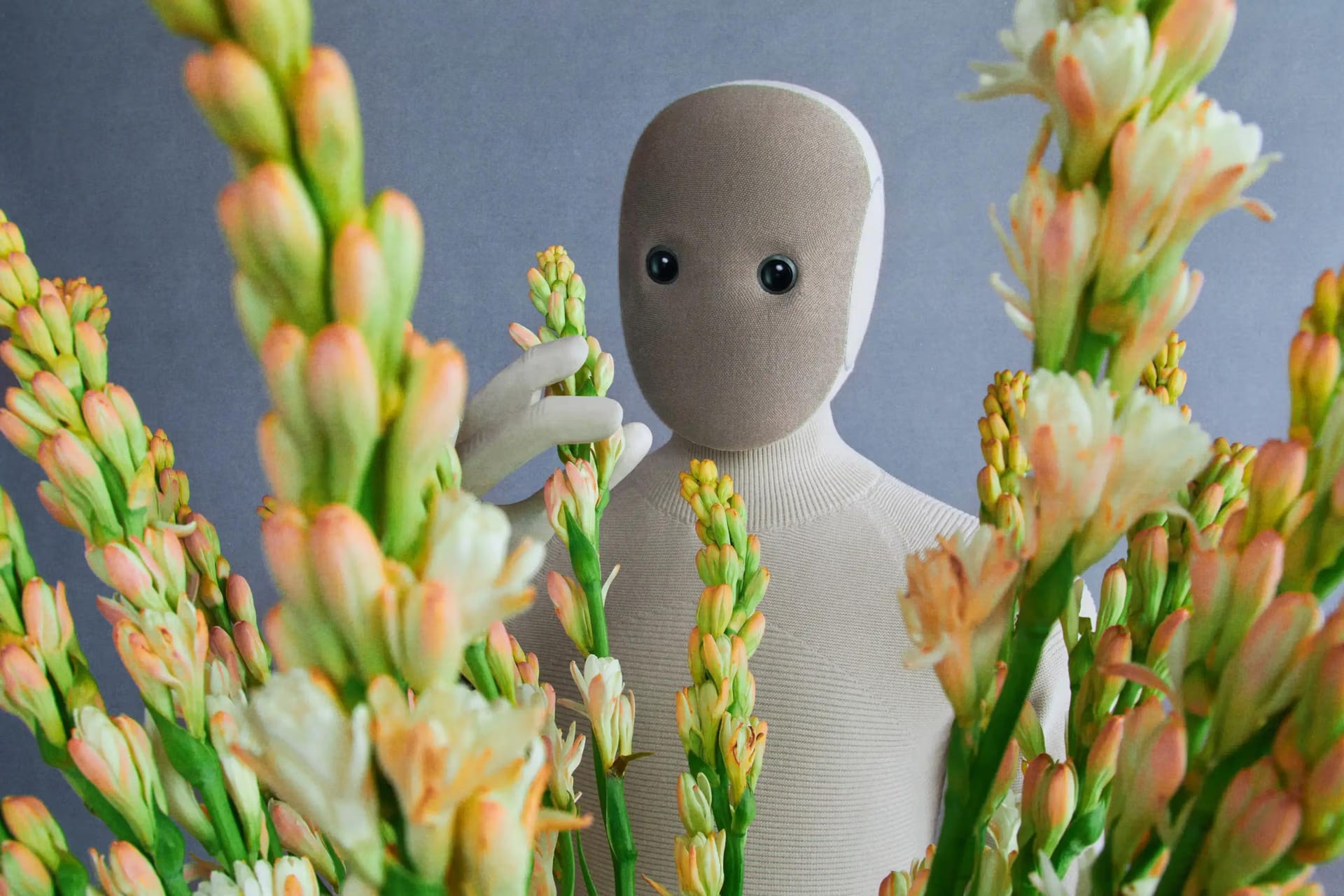 月租$670的AI管家：NEO机器人帮你做家务 - vibes by 8world