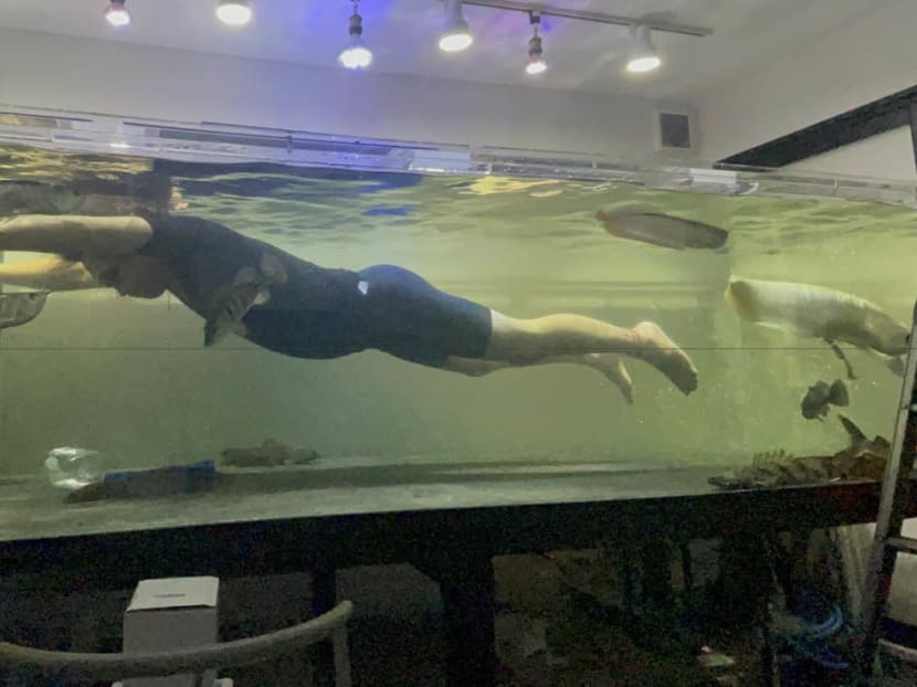 Man In Japan Has 3m-Long Aquarium In His House That He Swims In — Yes ...