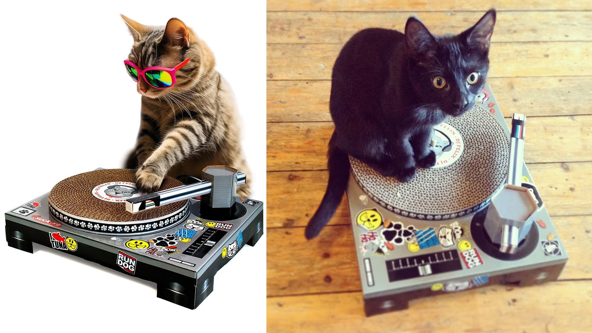 This Laptop For Cats Went Viral, So I Got My Cats To Test Out The ...