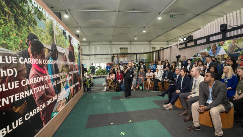 International Blue Carbon Institute to be set up in Singapore - CNA