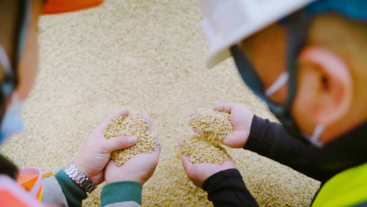 Growing Success in ASEAN - Haid Group - CNA