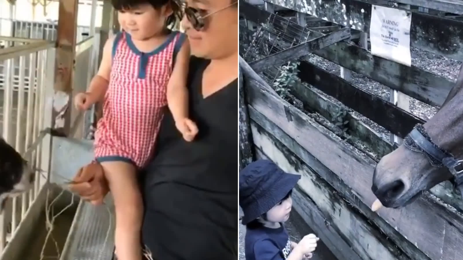 A DOSE OF CUTENESS: Baby Zed Lee turns 3 - 8days