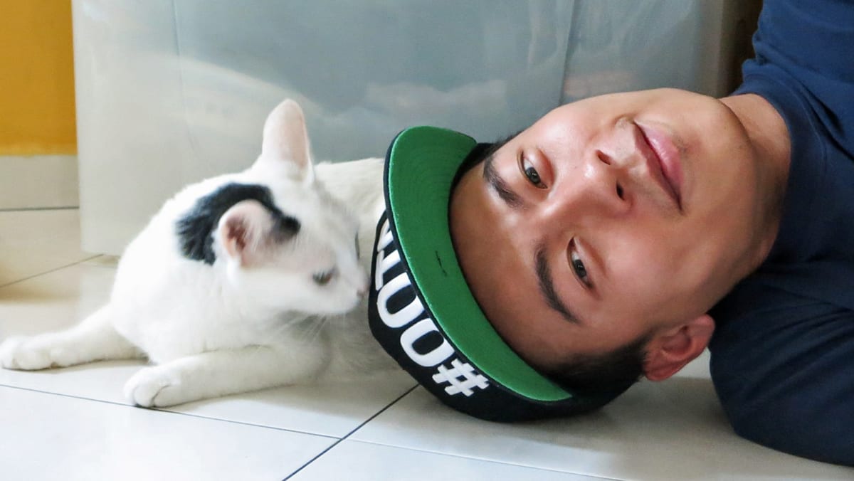 Furbulous Celebrity Meow series: Love at first sight for Nat Ho and ...