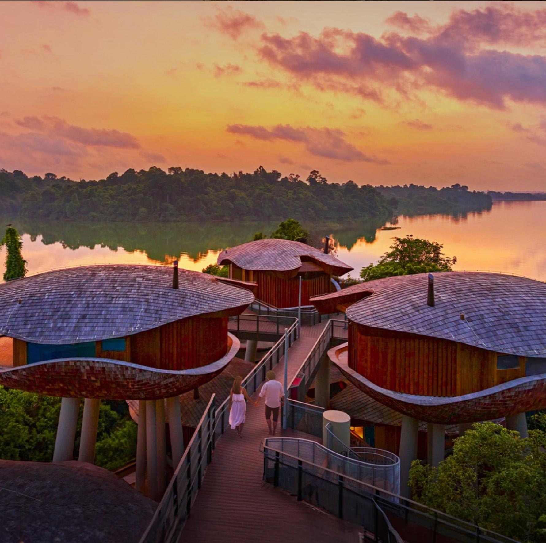 城市中的一片净土！Mandai Rainforest Resort 2025年4月开张，入住雨林悬浮树屋，感受大自然疗愈力量 - vibes ...