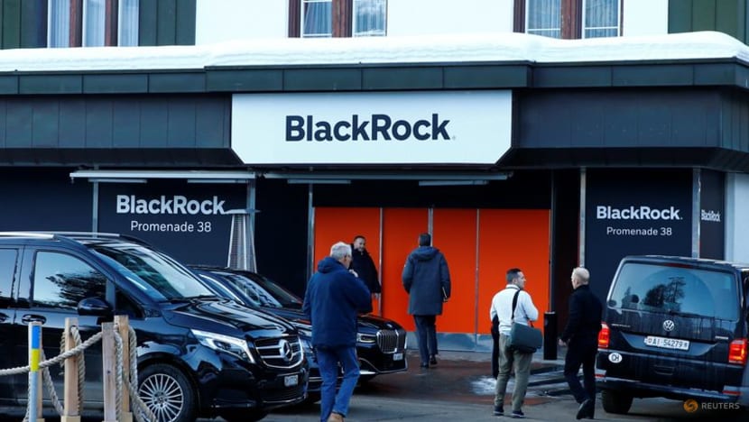 BlackRock taps into AI frenzy with two new ETFs - CNA