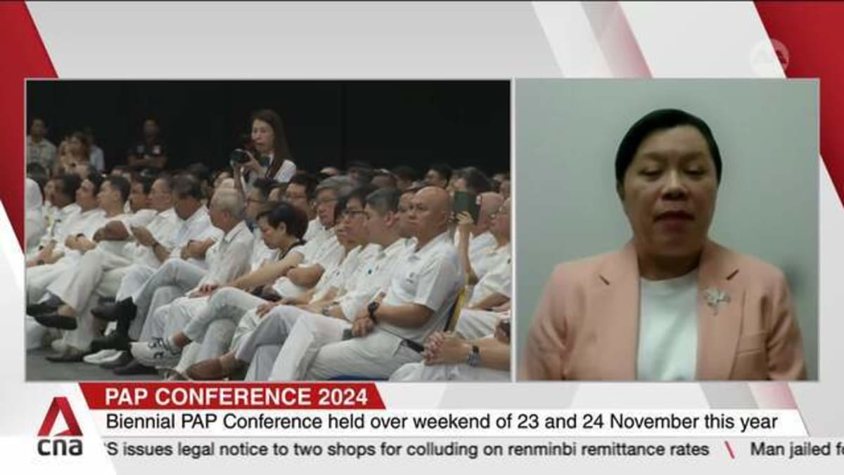 Dr Gillian Koh on announcements at PAP Convention - CNA