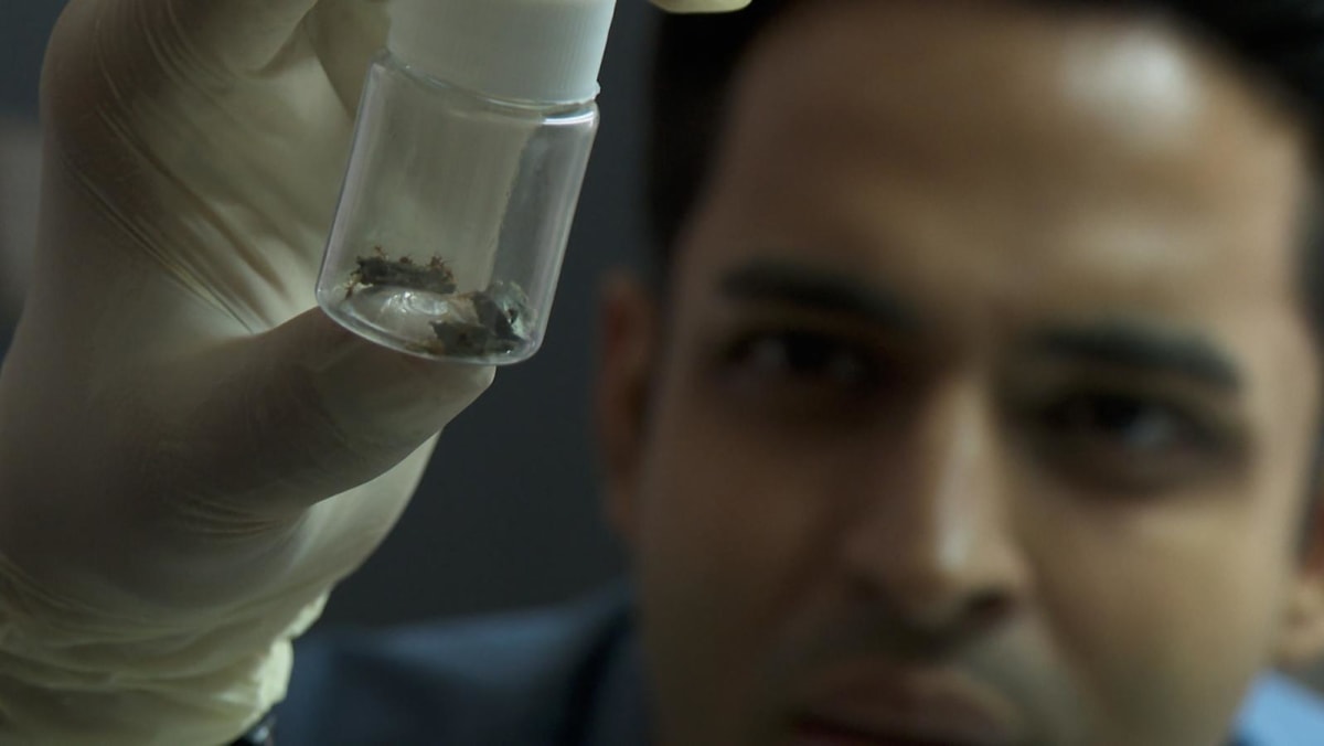 Talking Point 2023/2024 - What’s Lurking In Our Beds? - CNA