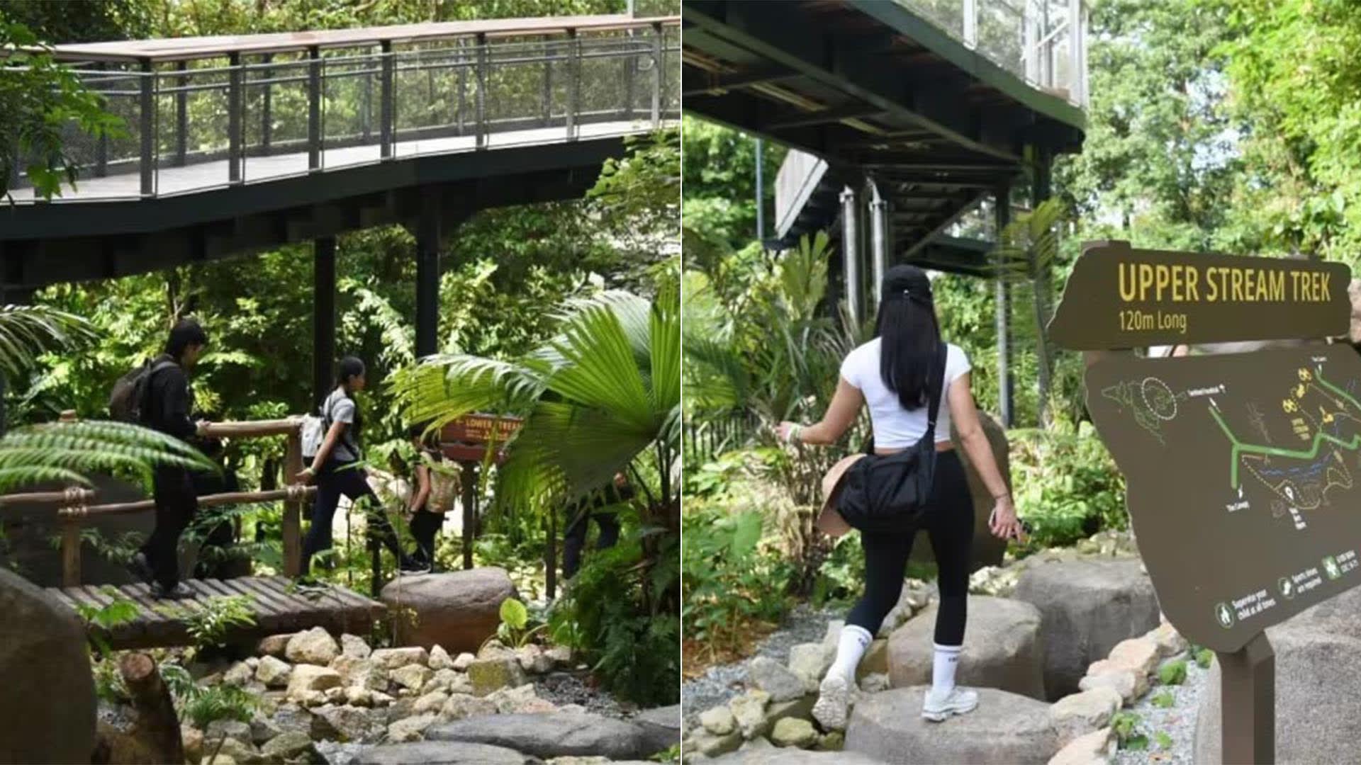 What To Expect When Rainforest Wild Asia Opens Mar 12; Ticket Prices ...