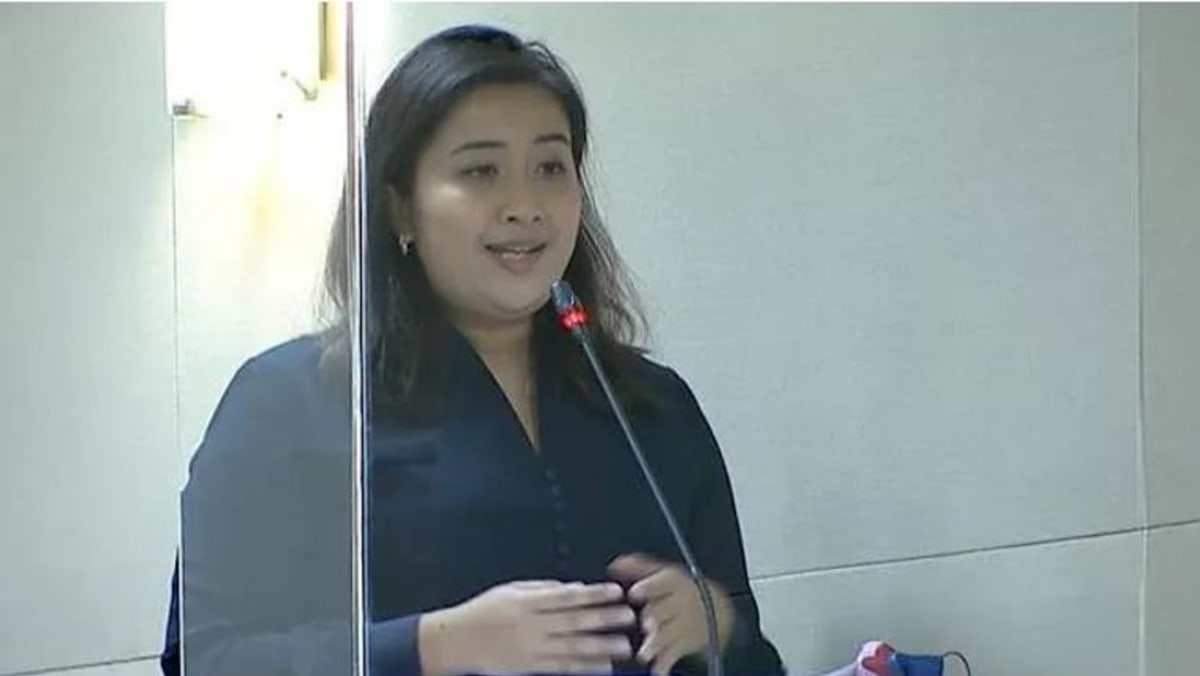 Harmoni di sebalik perbezaan kunci kemajuan S'pura, kata Nadia Samdin ...