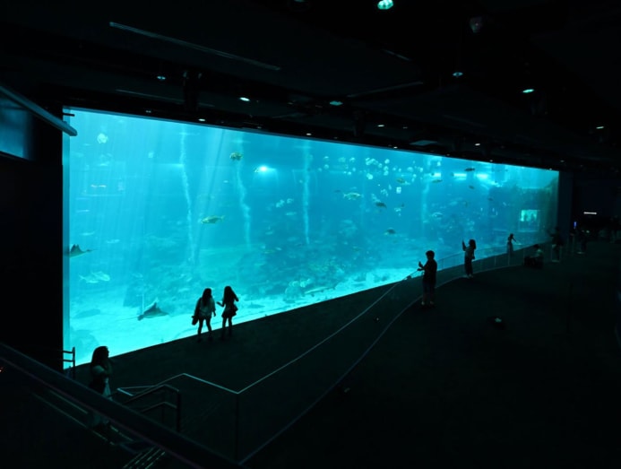 First look: The new Singapore Oceanarium, formerly SEA Aquarium ...