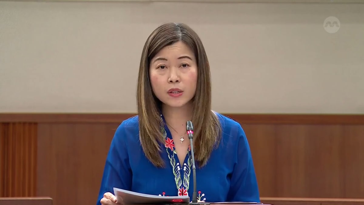 Budget 2025 debate: Ng Ling Ling on support for working adults, young ...