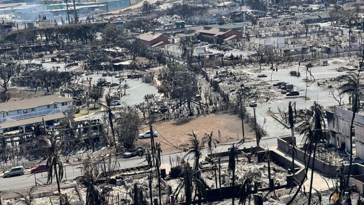 How did the Maui fire start? Why Hawaii’s power lines are suspect - CNA
