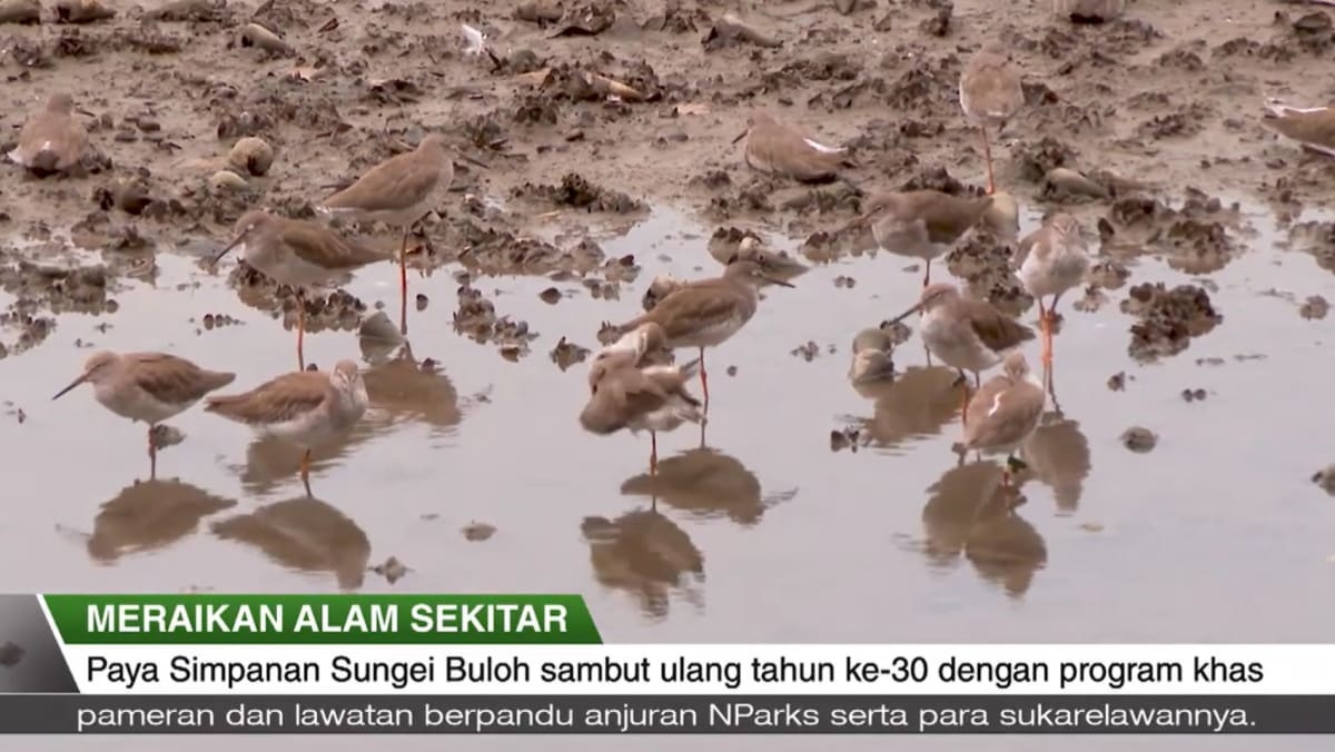 KILASAN | 25 Nov 2023 - BERITA Mediacorp