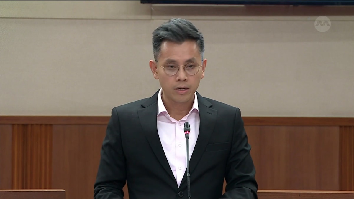 Ng Shi Xuan on Online Safety (Relief and Accountability) Bill - CNA