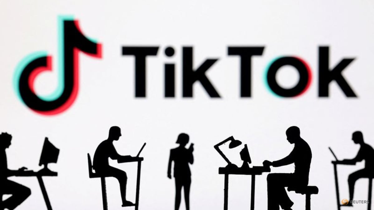 Romanian telecoms regulator calls for TikTok suspension pending ...